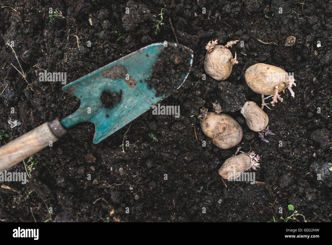 Plant seed shovel hi-res stock photography and images - Alamy