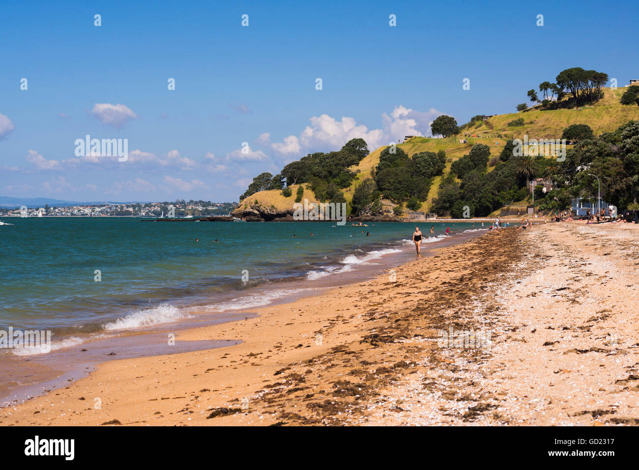 Cheltenham Beach, Devenport, Auckland, North Island, New Zealand ...