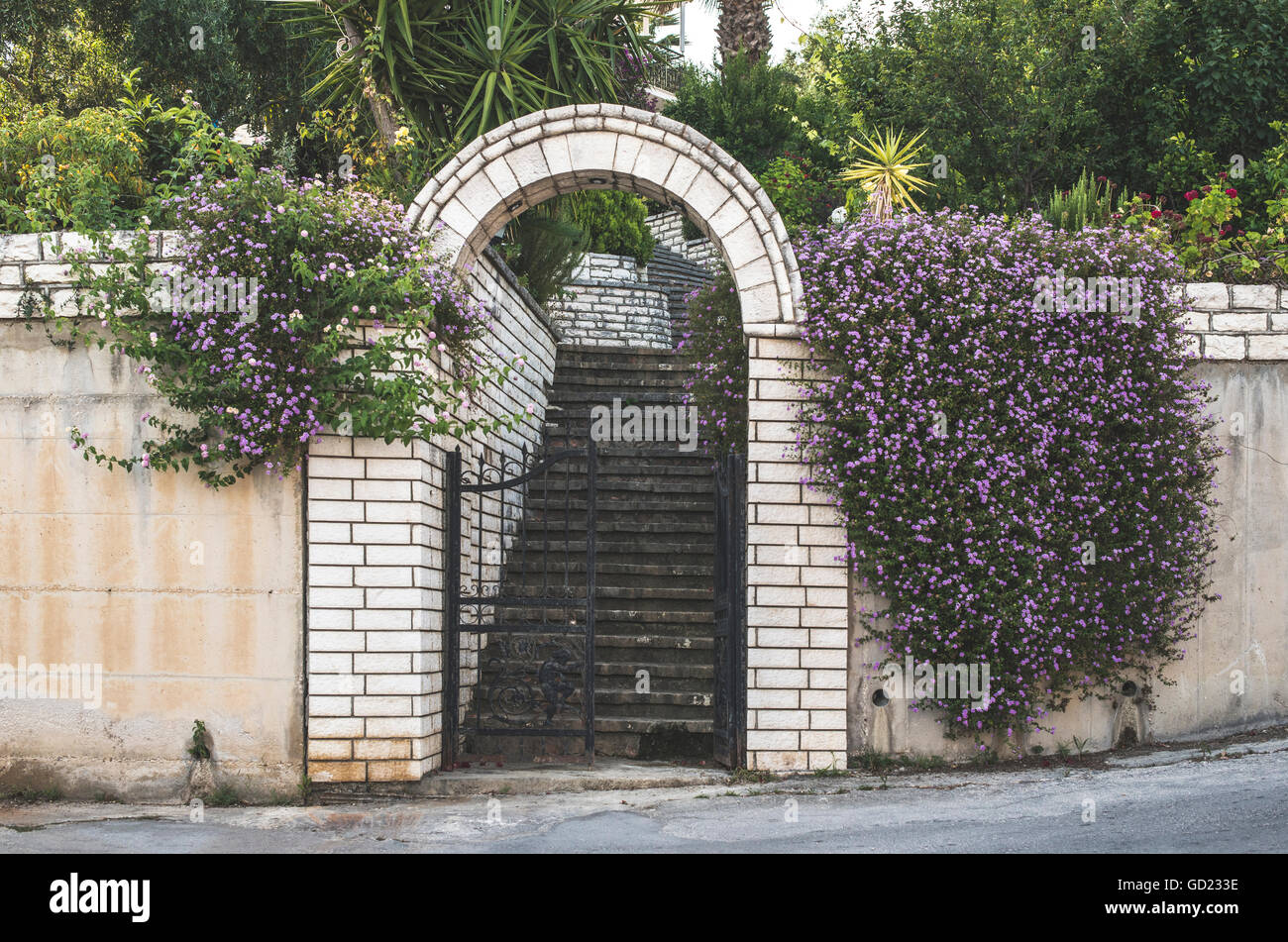 Greek house entrance with flowers Stock Photo - Alamy