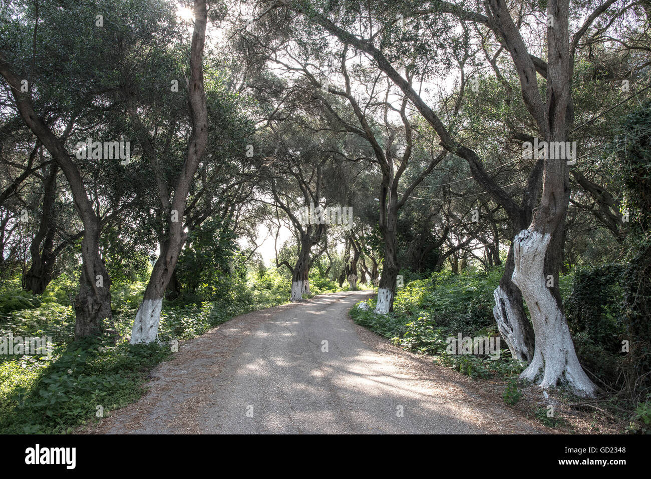 Old road landscape hi-res stock photography and images - Alamy