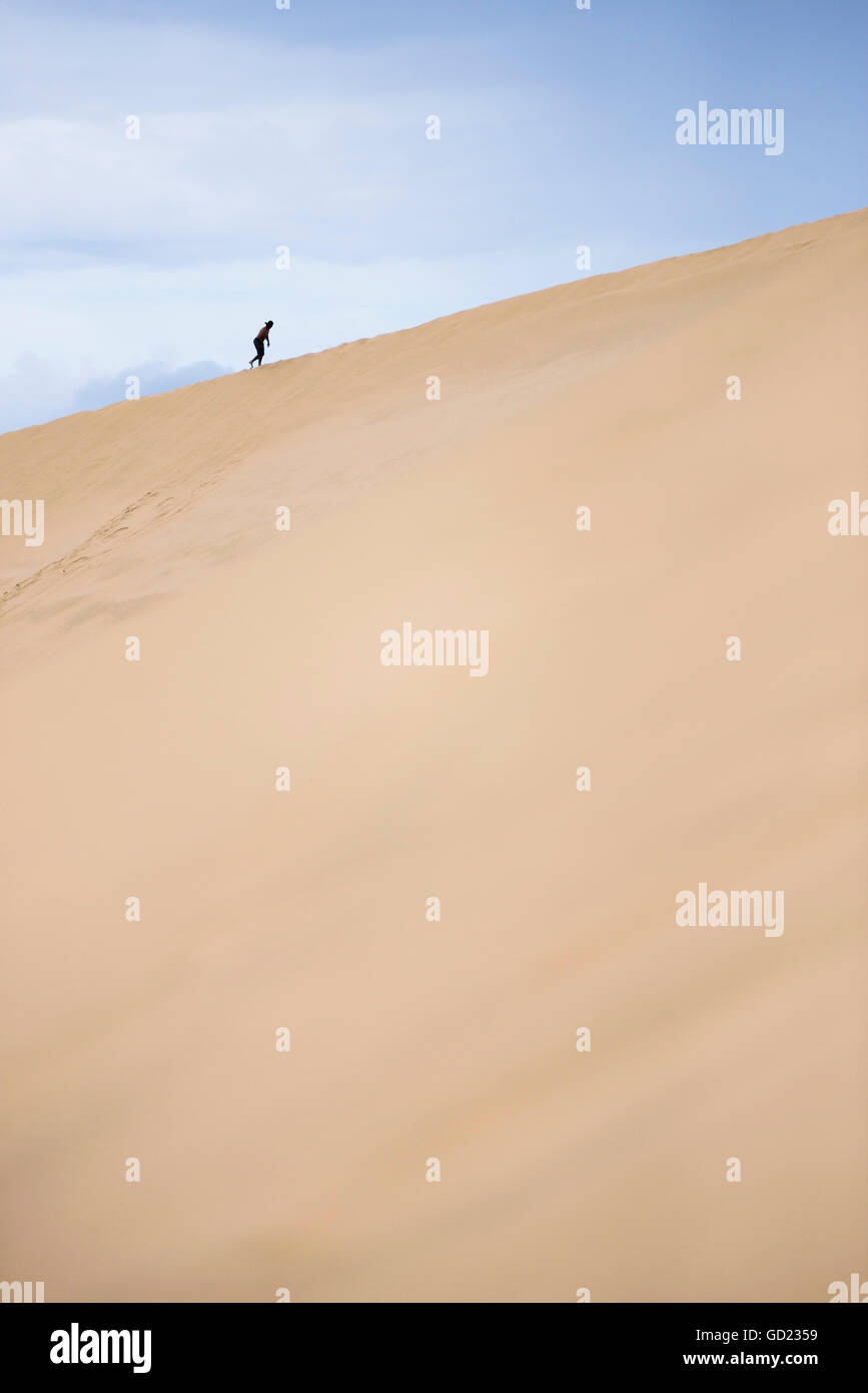 Tourist climbing Te Paki Sand Dunes on 90 Mile Beach, Northland, North ...
