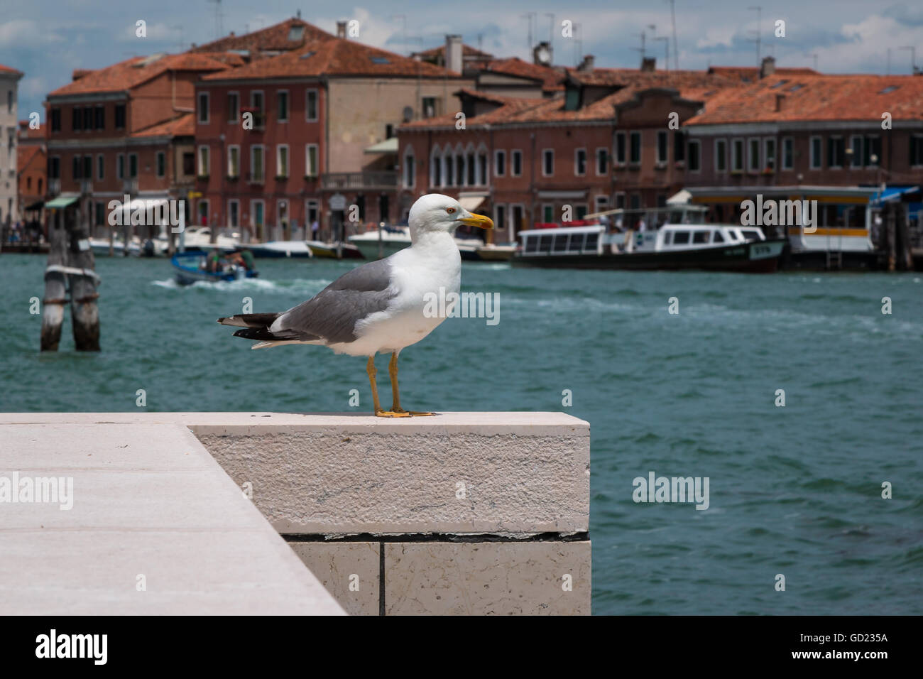 White parapet hi-res stock photography and images - Alamy
