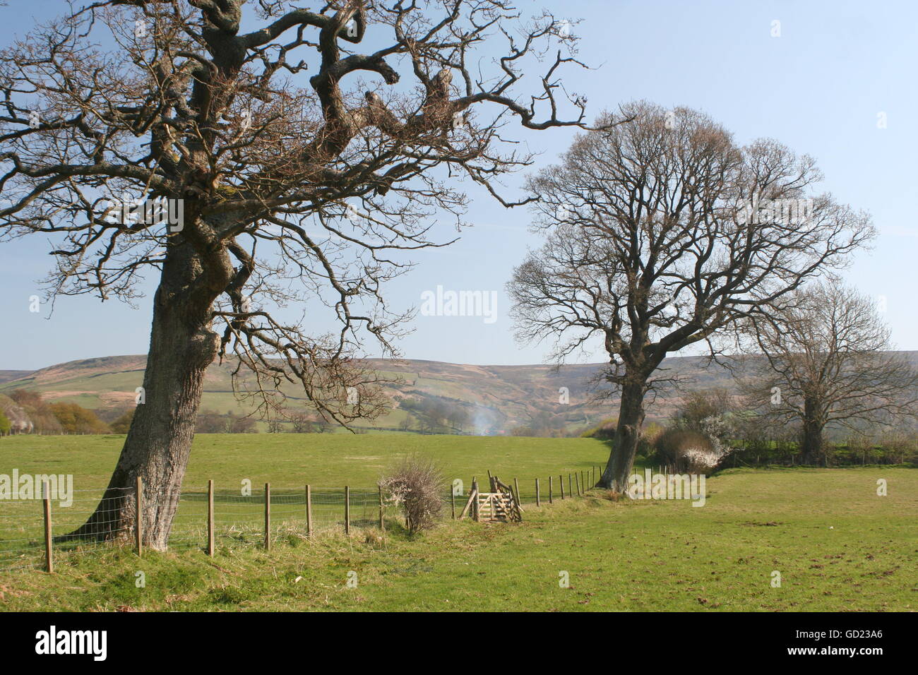 Parque nacional yorkshire moors hi-res stock photography and images - Alamy