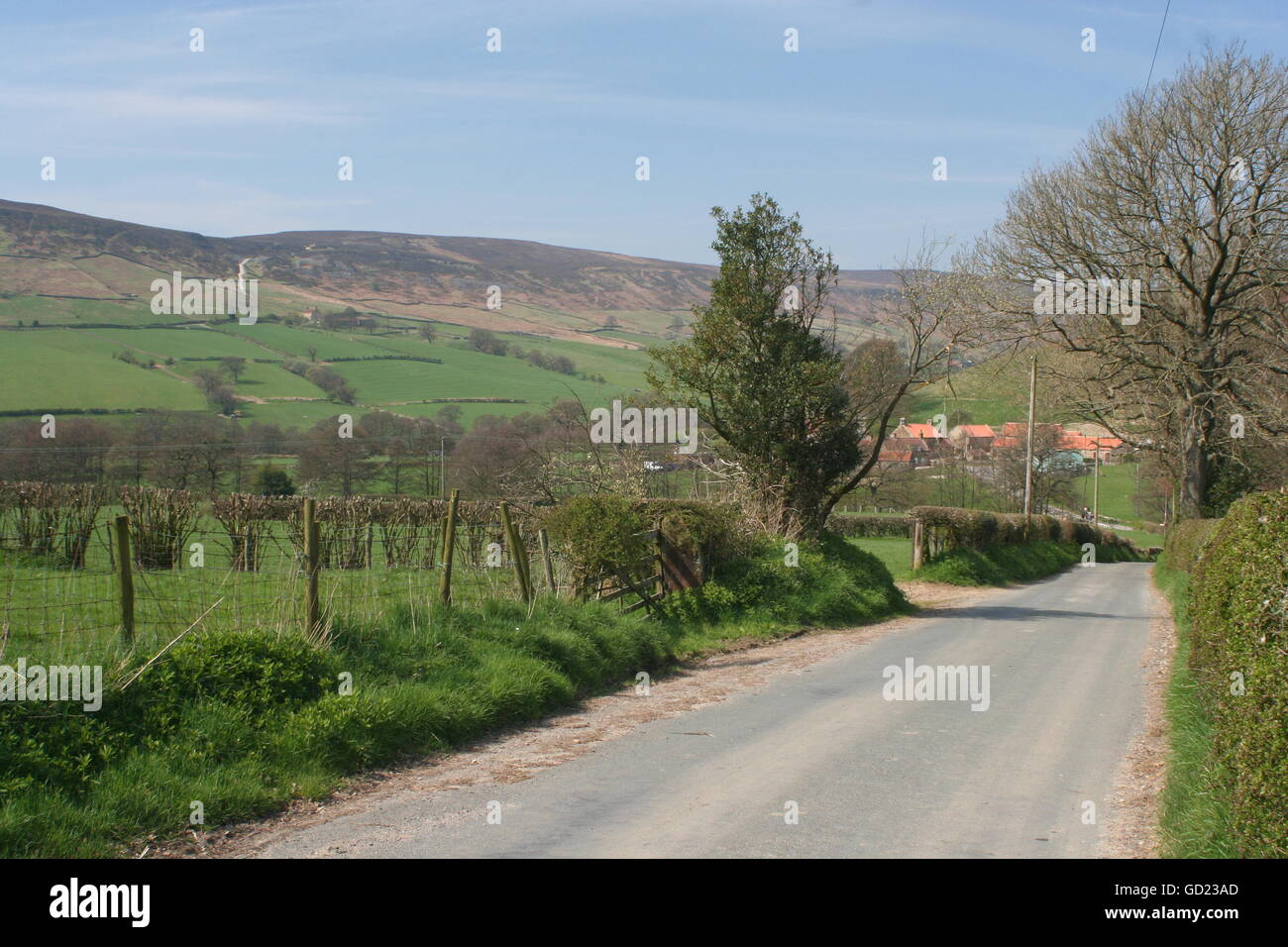 Parque nacional yorkshire moors hi-res stock photography and images - Alamy