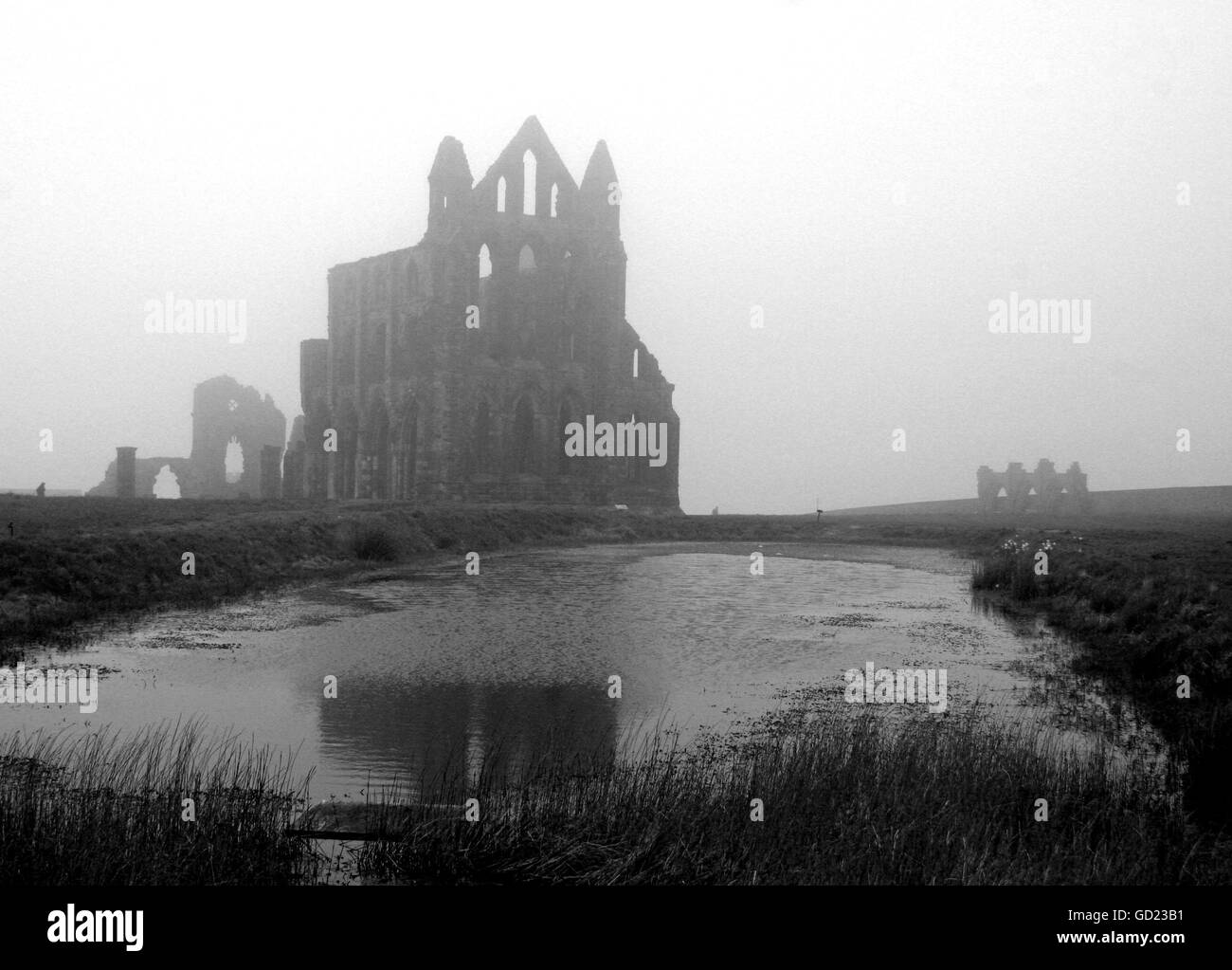 English heritage abbess hilda synod of whitby Black and White Stock ...