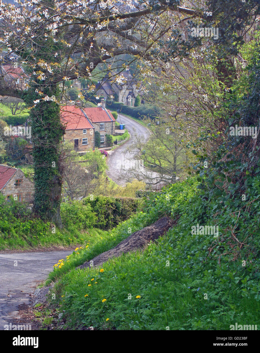 Littlebeck hi-res stock photography and images - Alamy