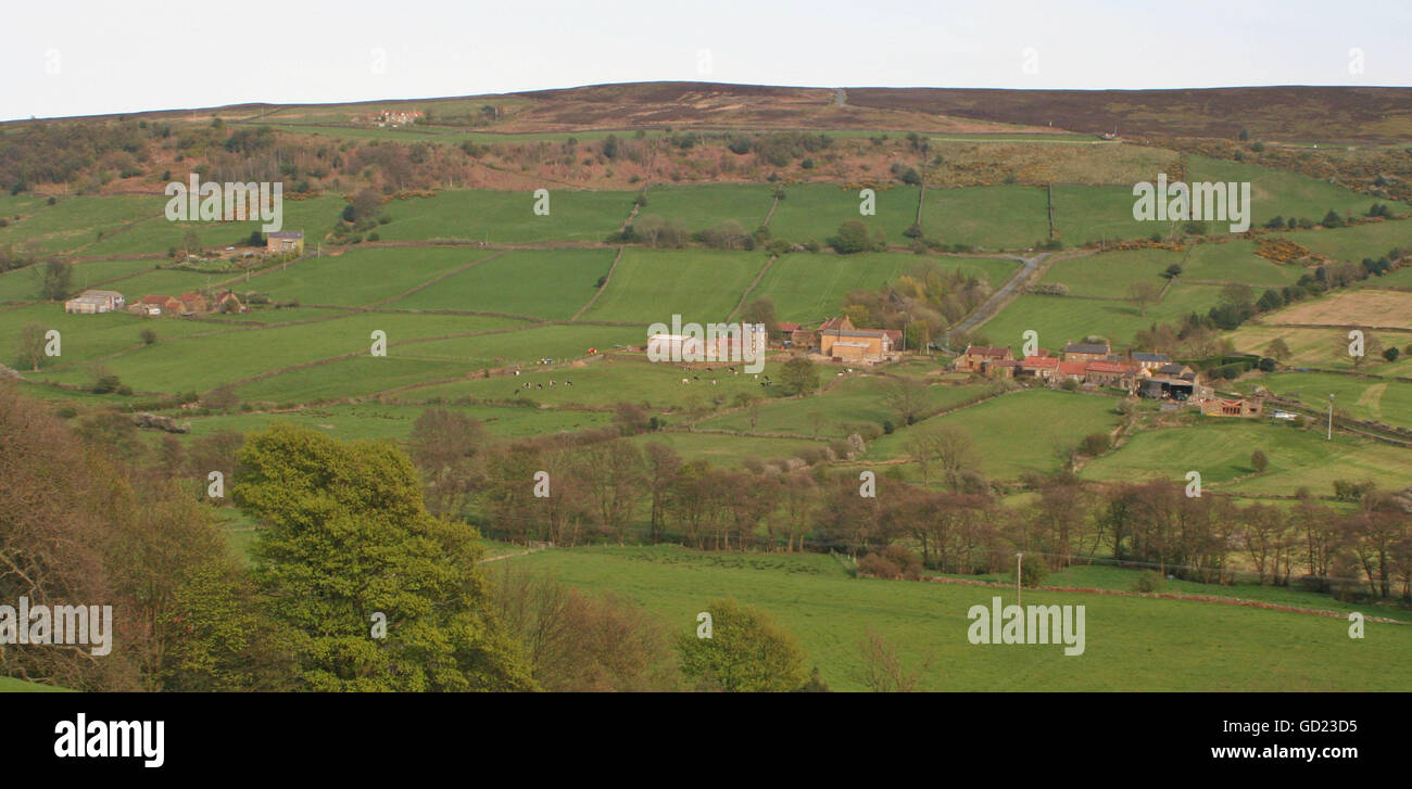 Great Fryup Dale Stock Photo - Alamy