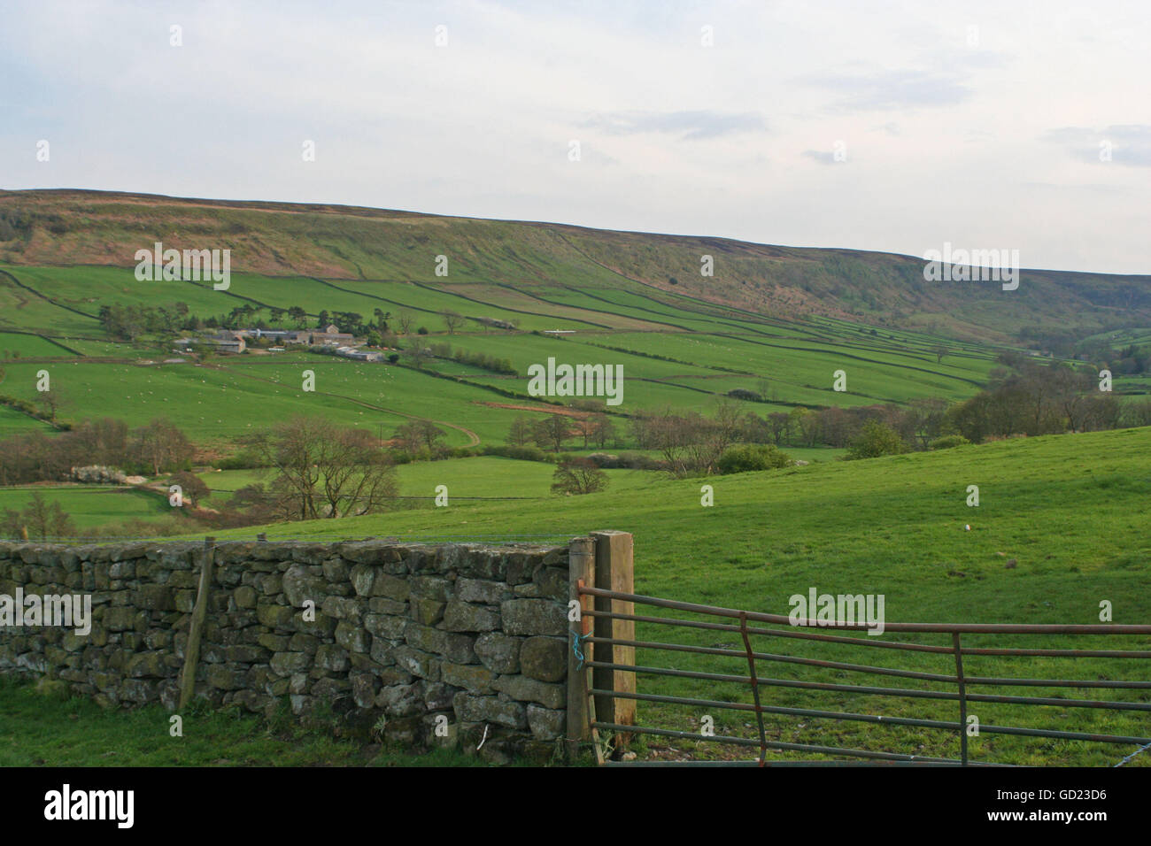 Great Fryup Dale Stock Photo - Alamy