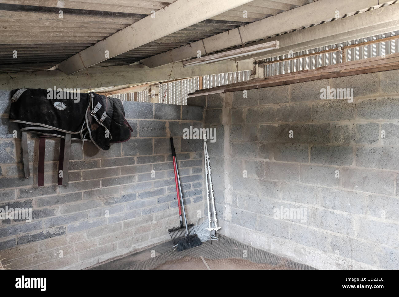 Empty Horse Stable High Resolution Stock Photography and Images - Alamy