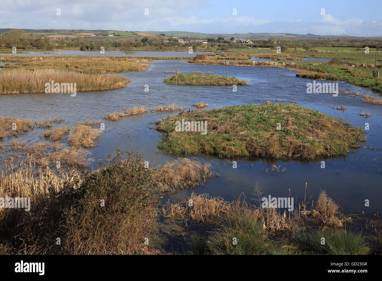 Darts Farm RSPB Reserve, near Exeter, Devon, England, UK Stock Photo ...