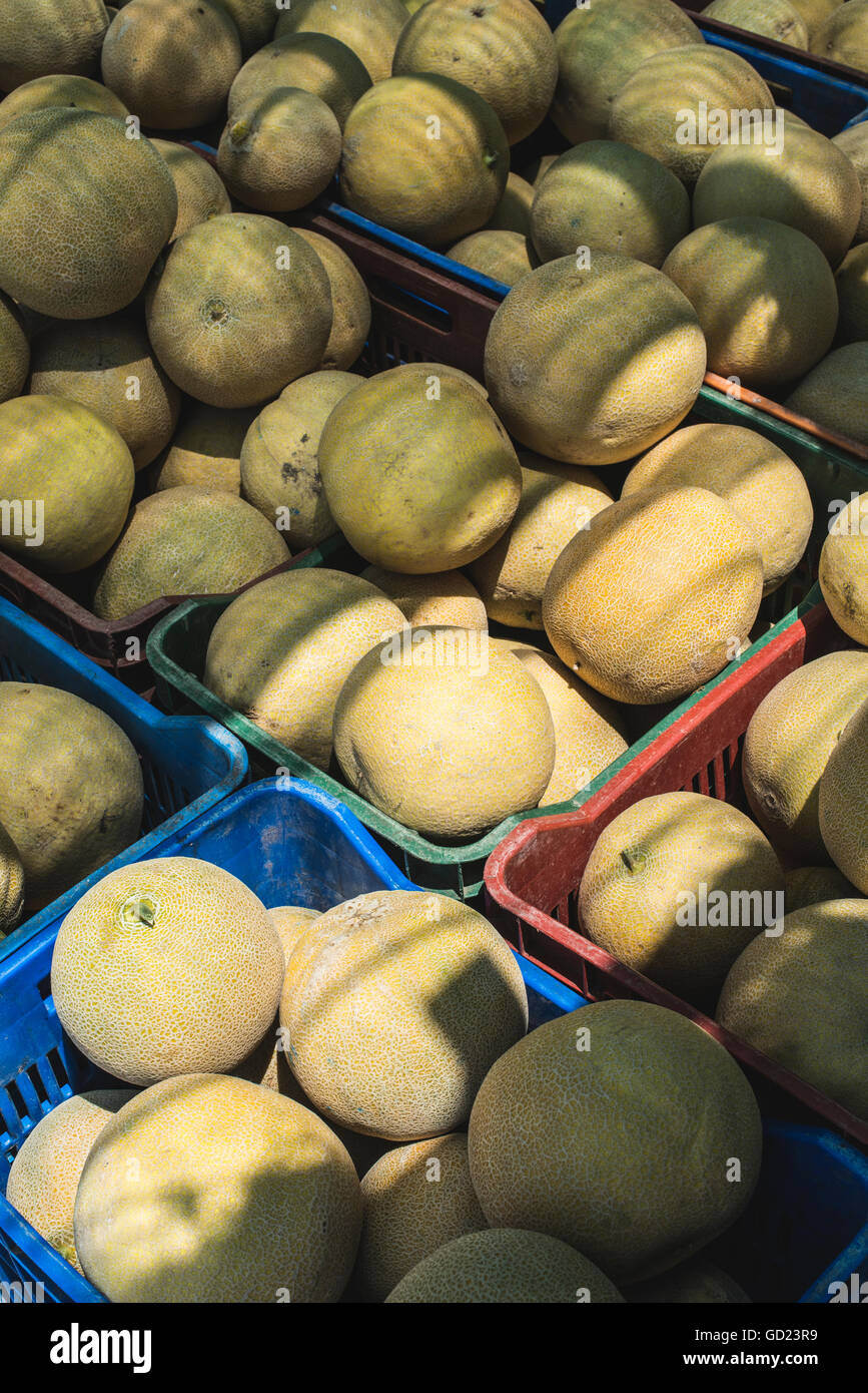 Melons on the market Stock Photo - Alamy