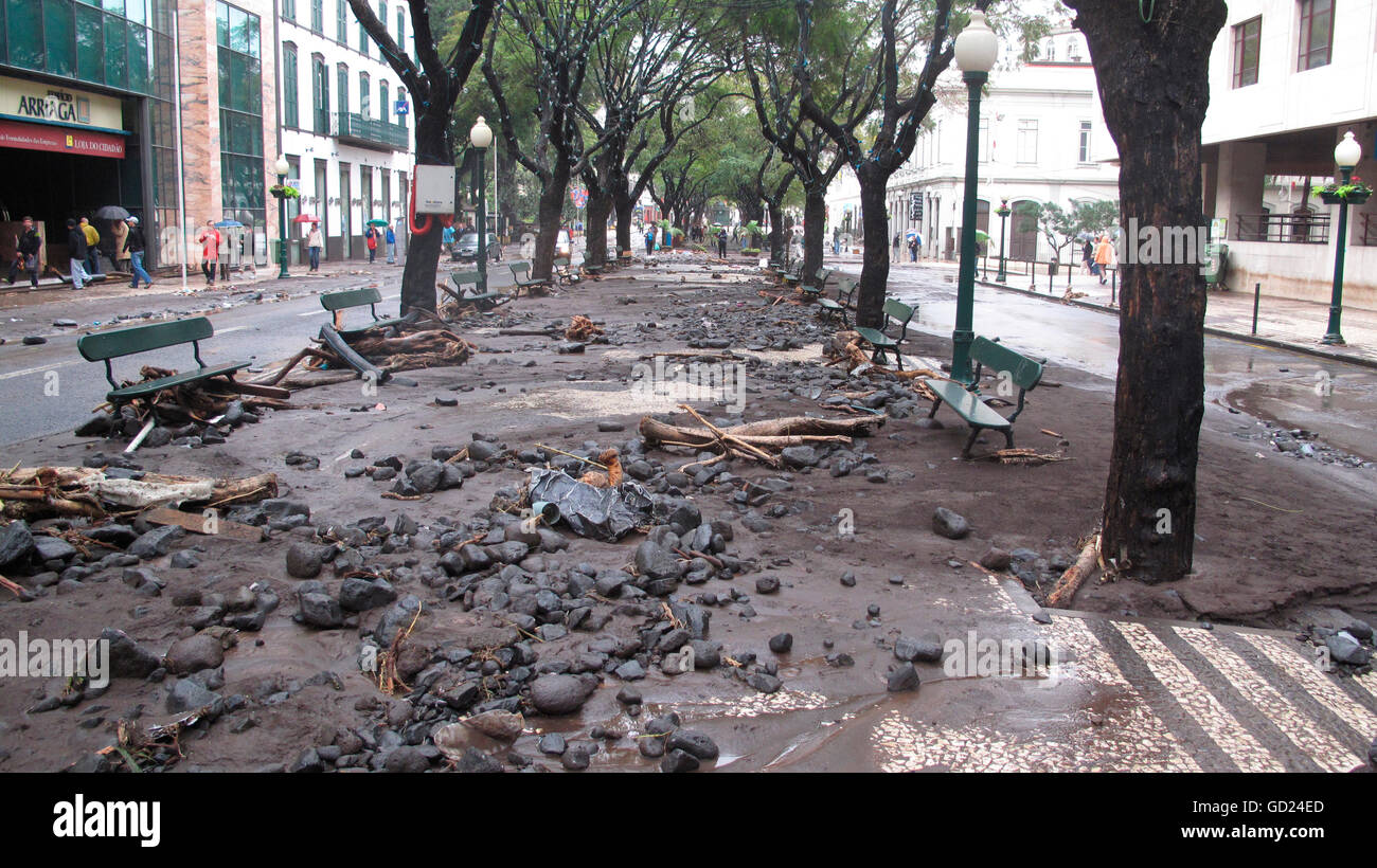 catastrophe, natural disaster, flood, River-flood disaster, Funchal ...