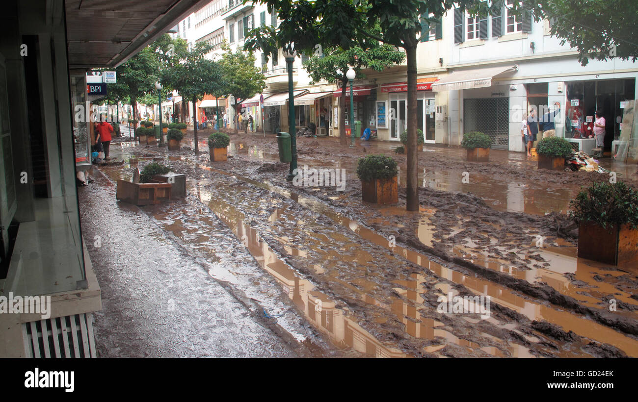 catastrophe, natural disaster, flood, River-flood disaster, Funchal ...
