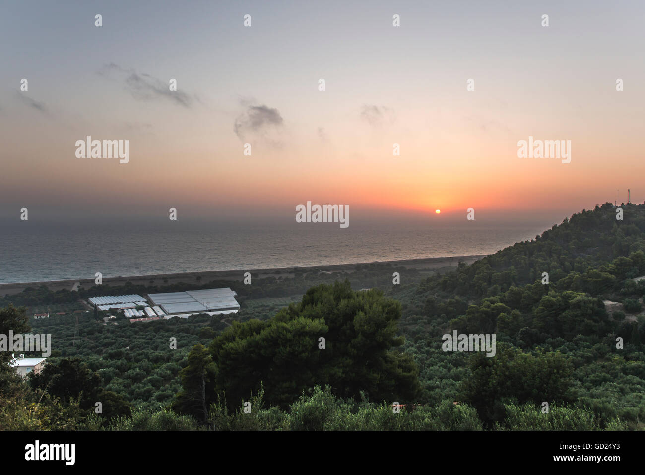 Olive trees, sea and sunset. Kalamata, Greece Stock Photo - Alamy