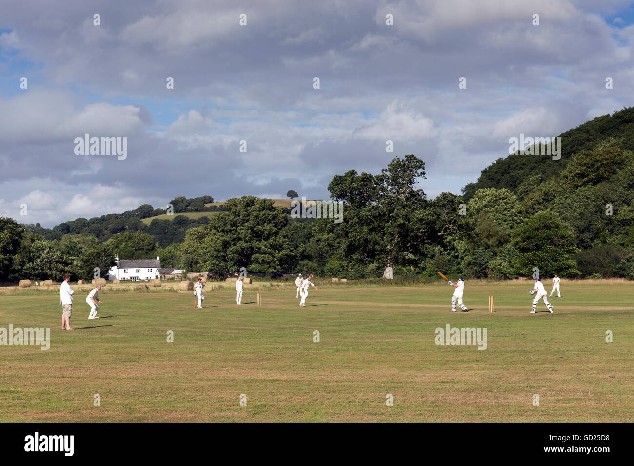 village cricket, Dartmoor National Park,green, ball, game, match, grass ...