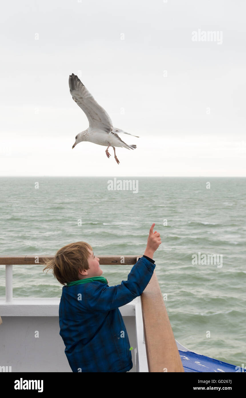 DOVER, ENGLAND - OCTOBER 24, 2015: Unknown boy feeding a seagull on a ...