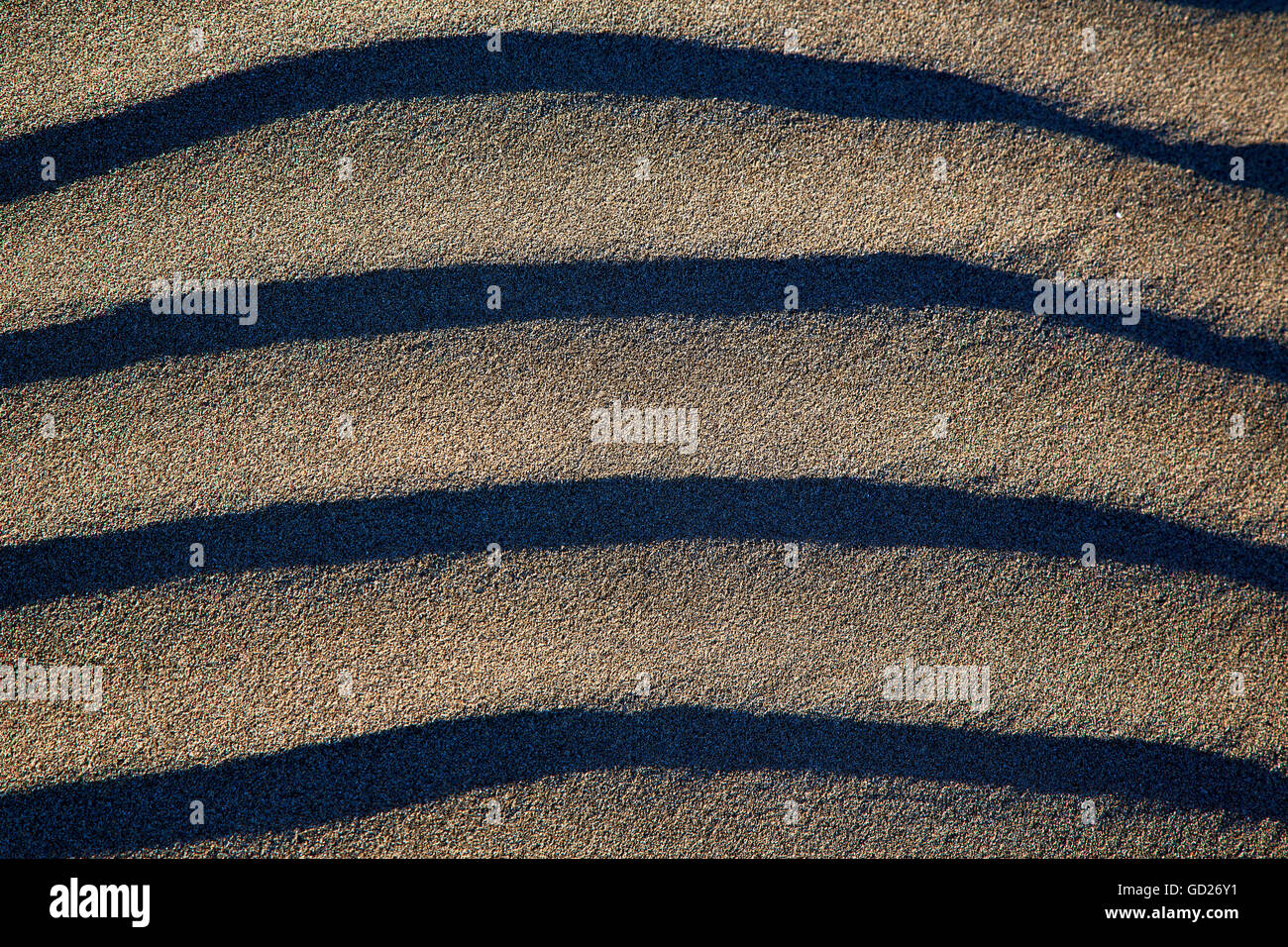 in lanzarote spain texture abstract of a dry sand and the beach Stock ...