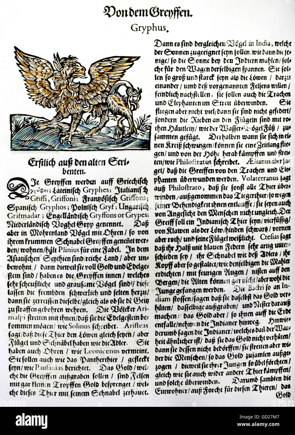 superstition, mythological creatures, griffin, mixture of eagle and ...