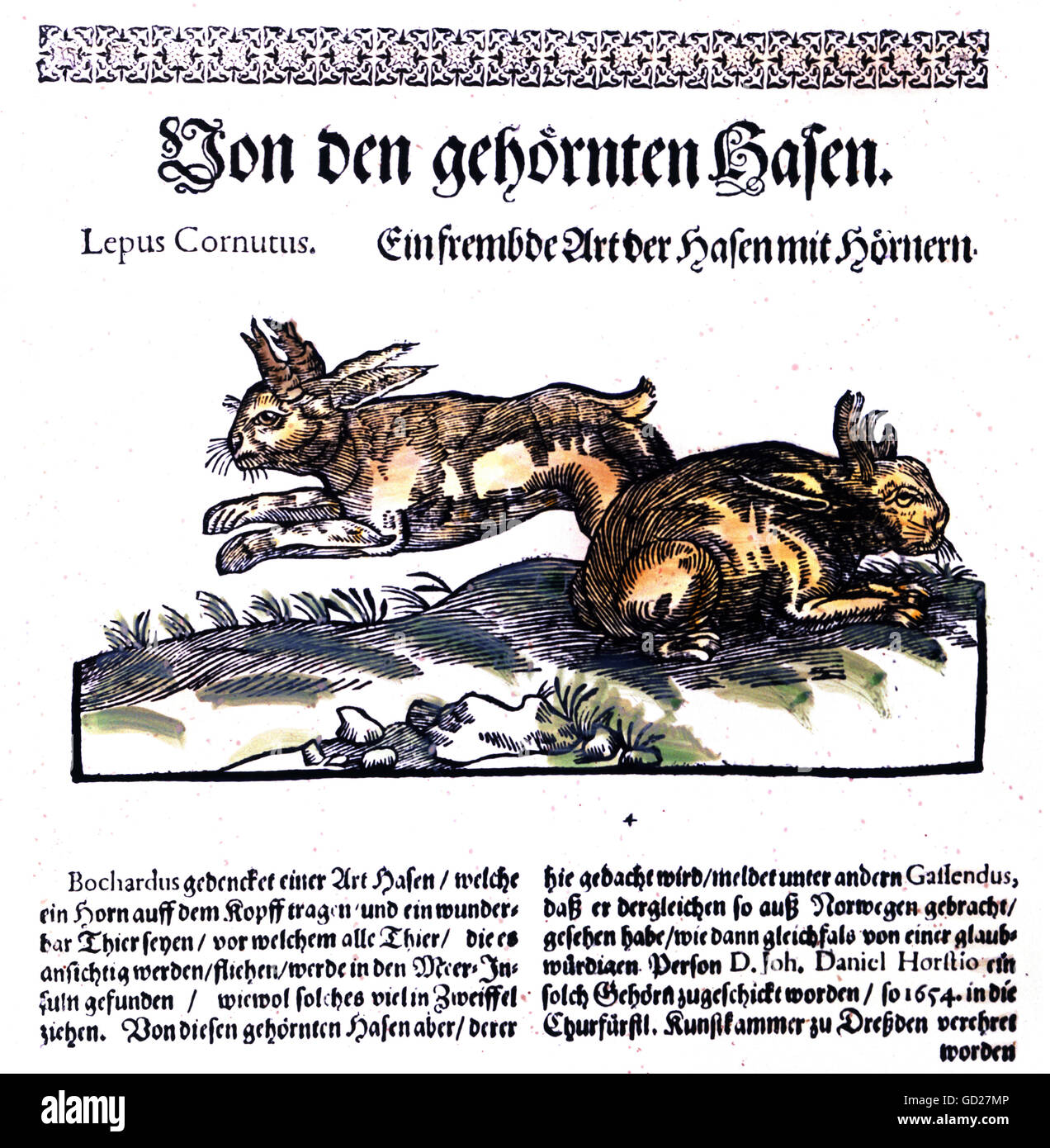 superstition, mythological creatures, "About horned hares", coloured ...