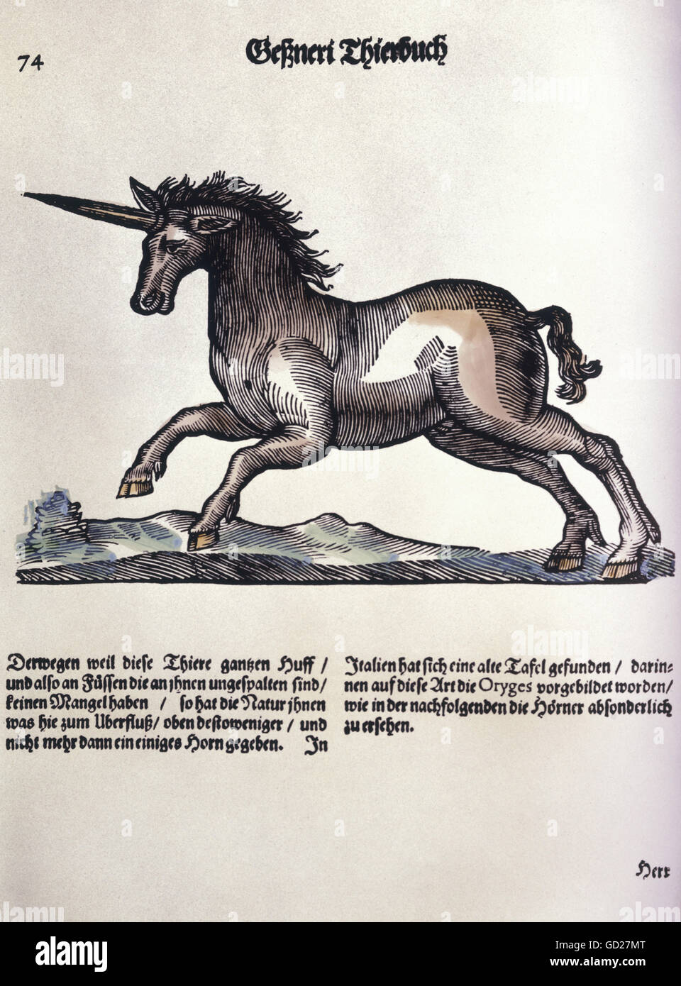 superstition, mythological creatures, unicorn, coloured woodcut from ...