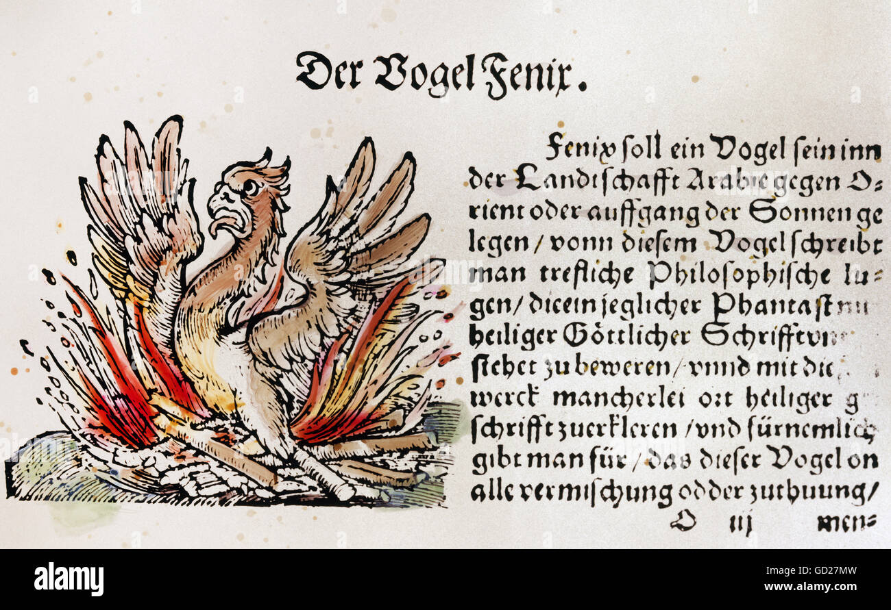 superstition, mythological creatures, Phoenix, miracolous bird from ...