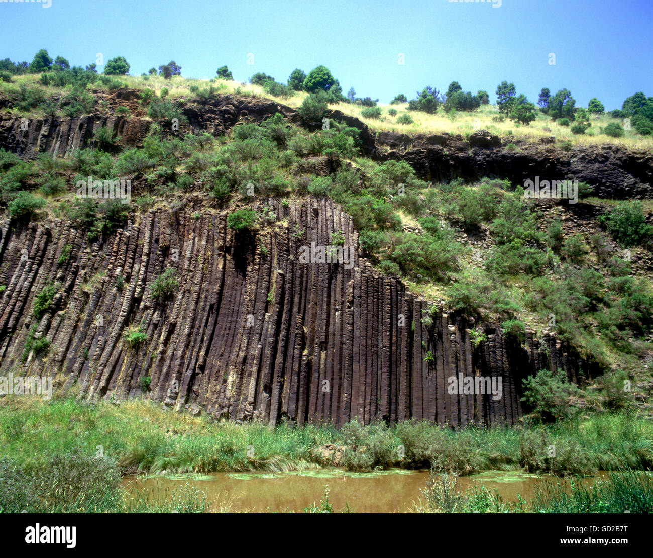 Australia Victoria The vertical pipe like rock formation in the Organ ...