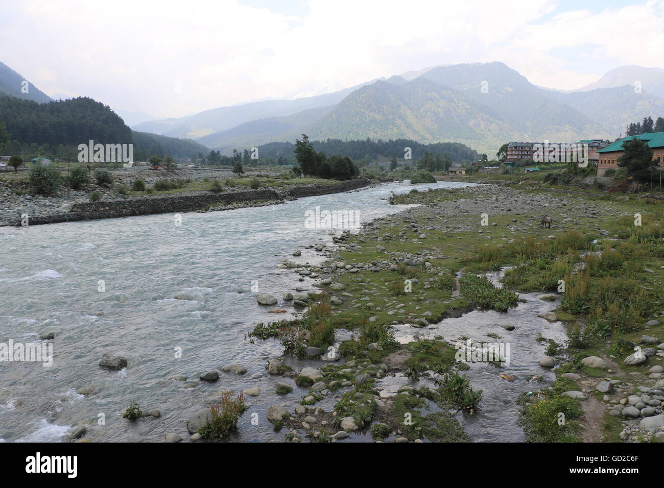 Lidder river Pahalgam, Jammu & Kashmir Stock Photo - Alamy