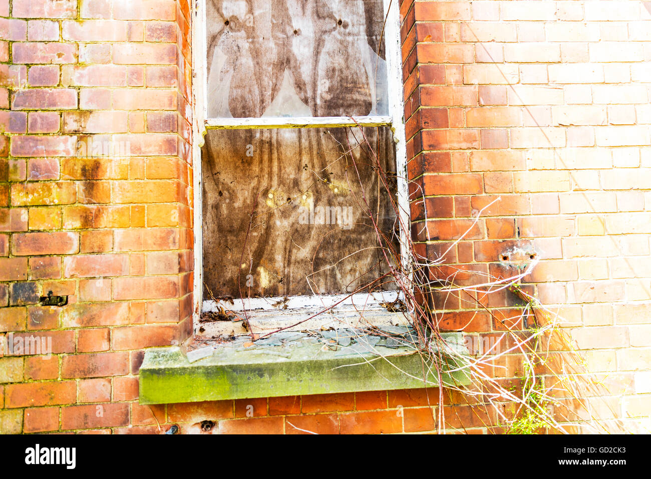 Boarded up window smashed window on derelict house wooden board put in ...