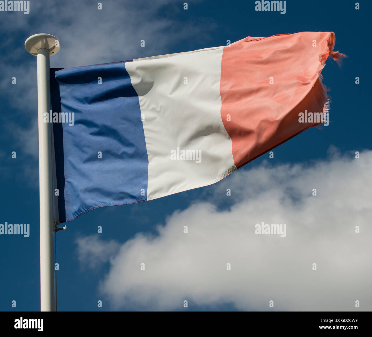 French Tricolor flag blowing in the wind on white flag pole with blue ...
