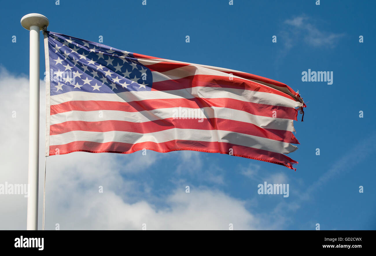 Fbi flag hi-res stock photography and images - Alamy