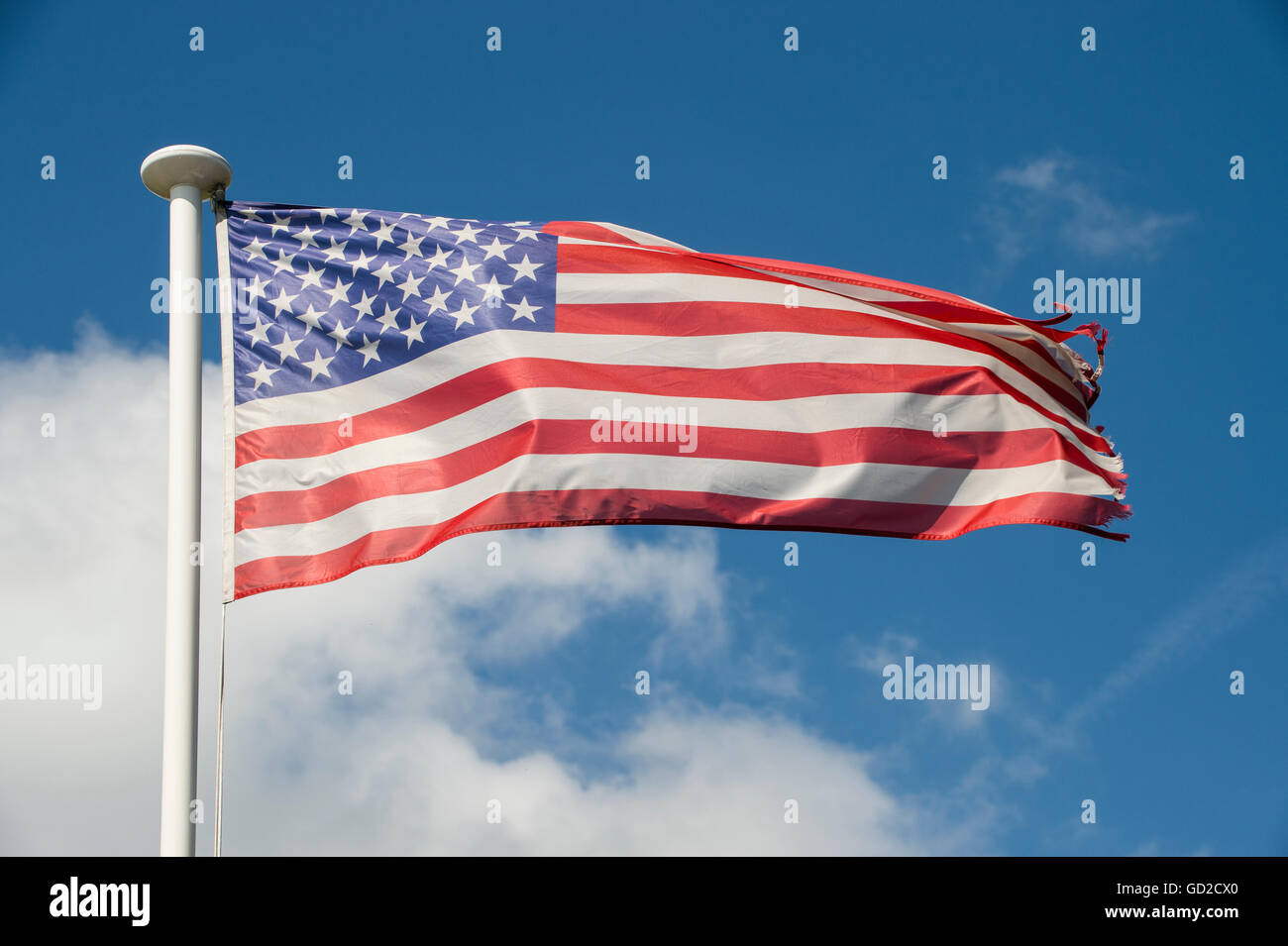 Fbi flag hi-res stock photography and images - Alamy