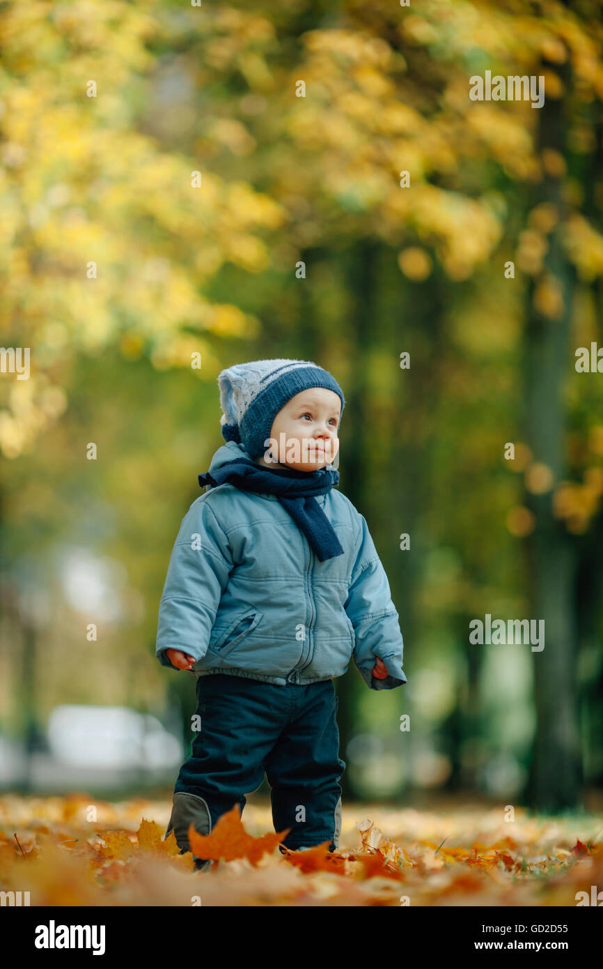 little boy in autumn park Stock Photo - Alamy