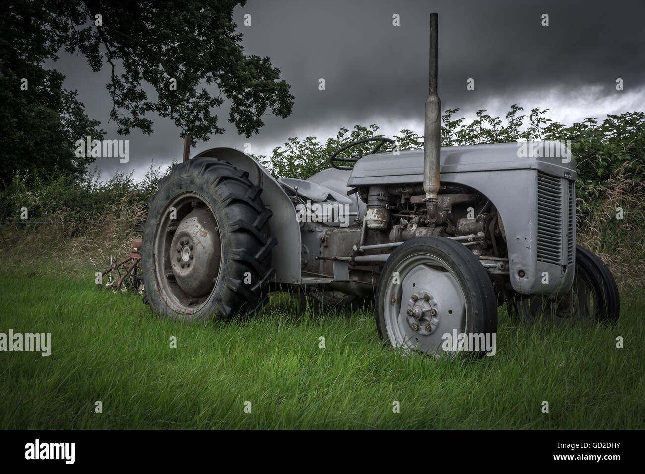 Old massey ferguson tractor hi-res stock photography and images - Alamy