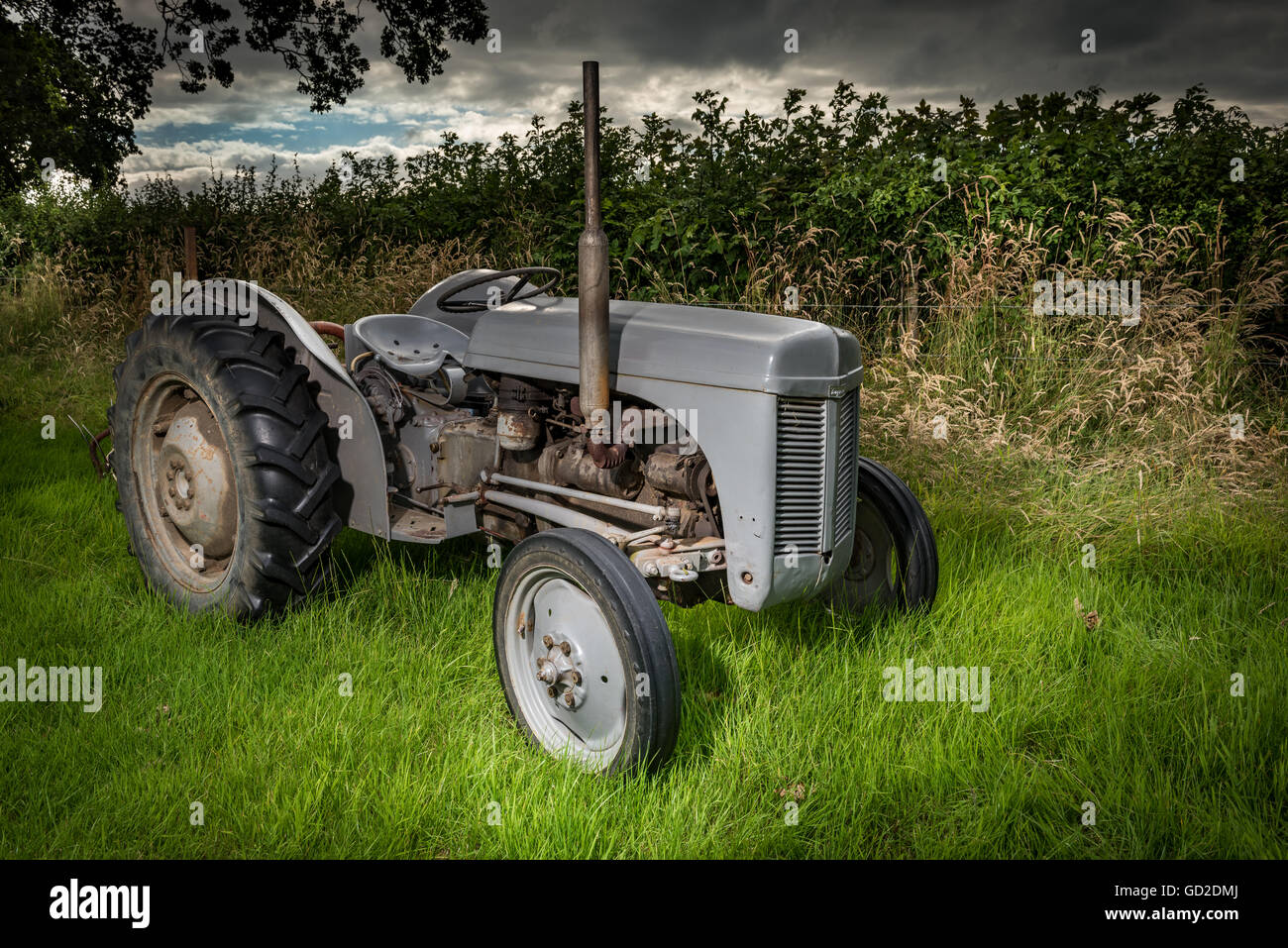 Vintage ferguson tractor hi-res stock photography and images - Alamy