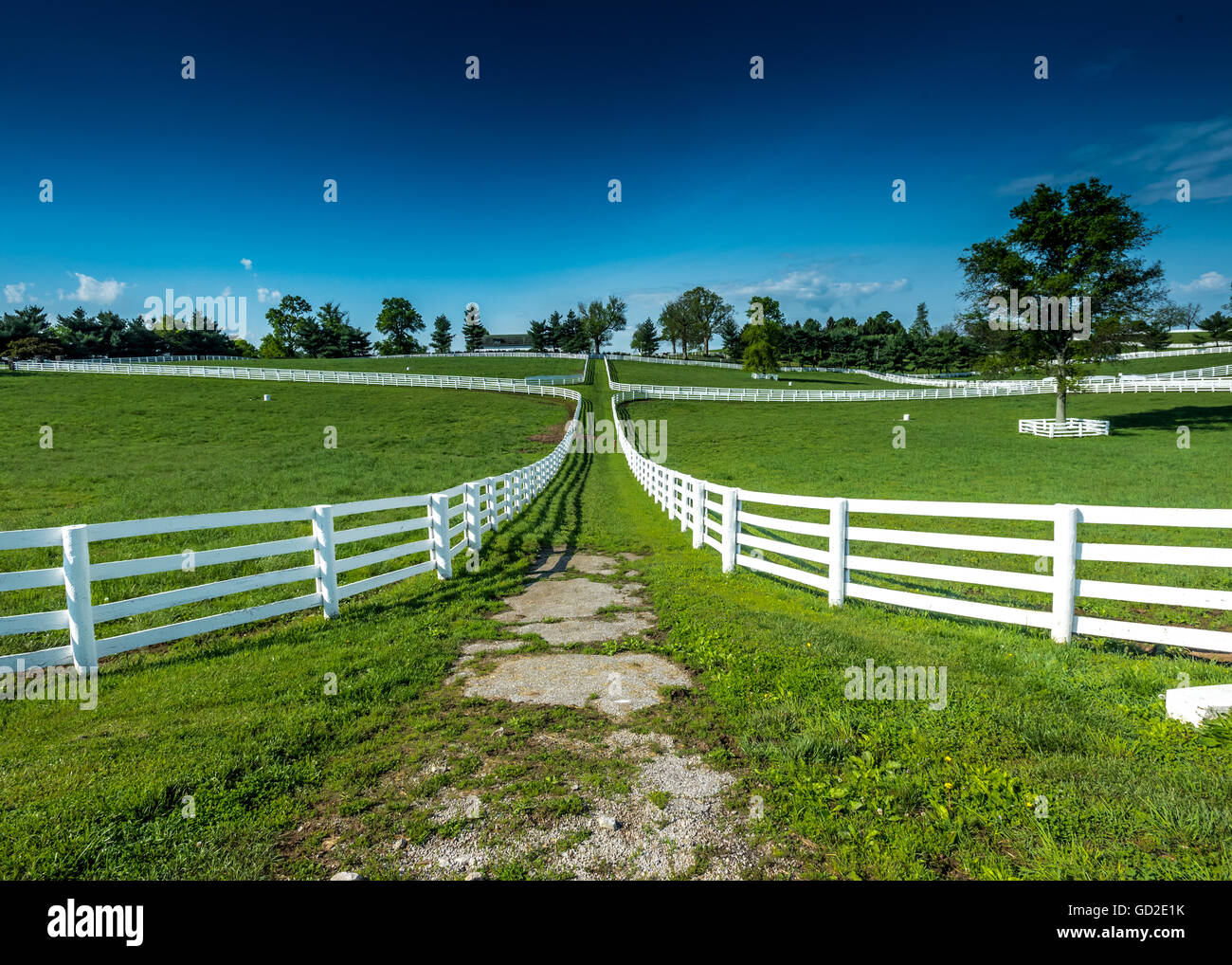 Narrow path in farm hi-res stock photography and images - Alamy
