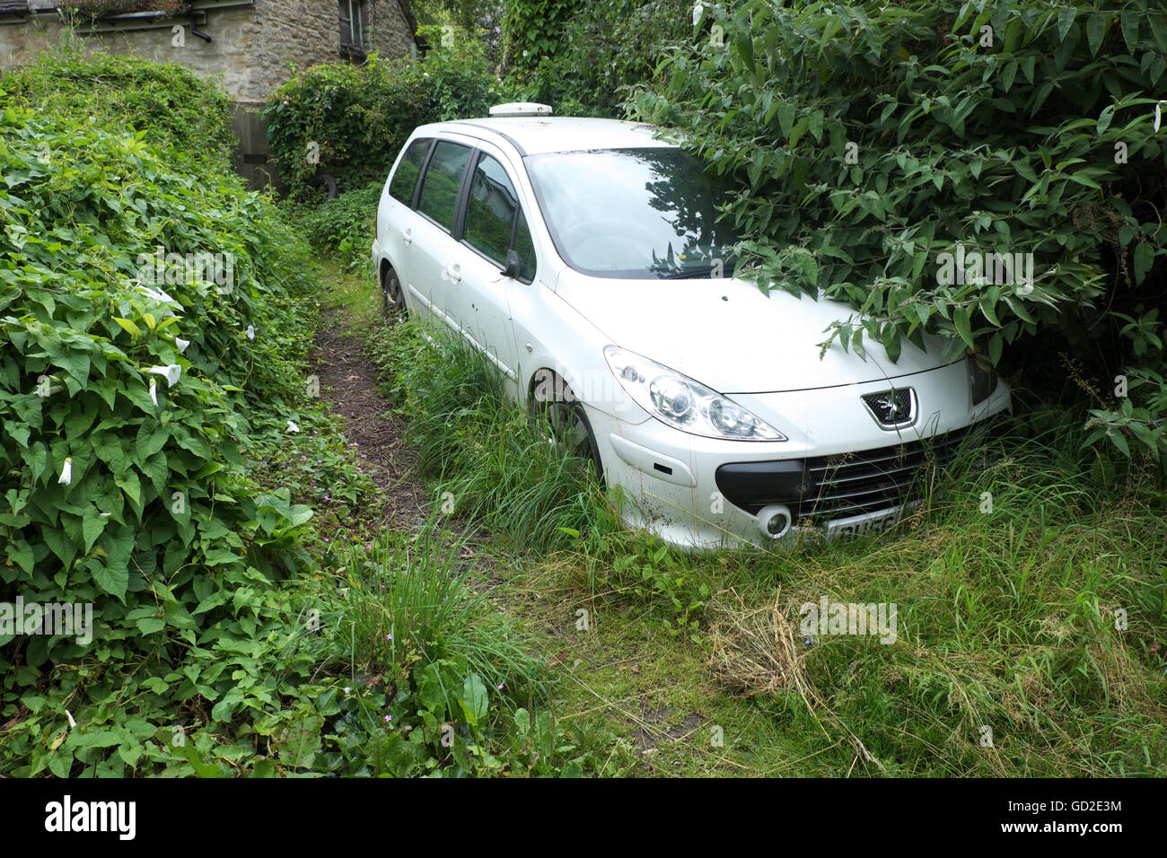Overgrown hedges hi-res stock photography and images - Alamy