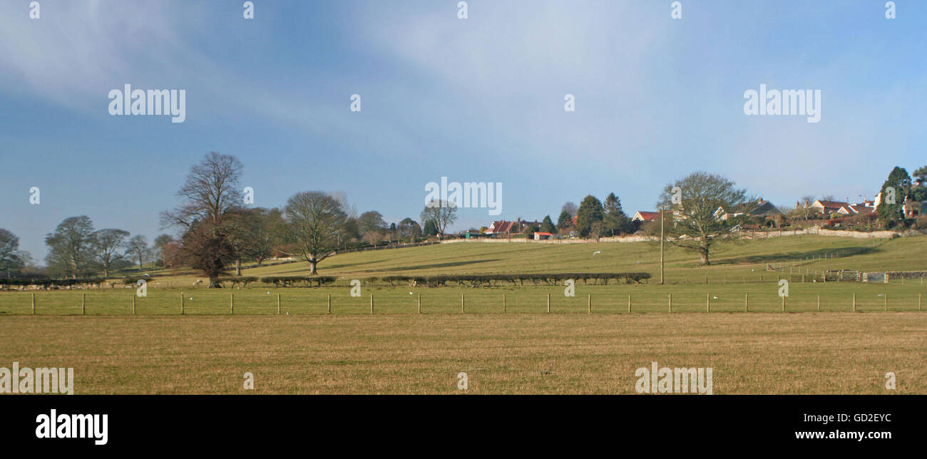 Hutton buscel hi-res stock photography and images - Alamy