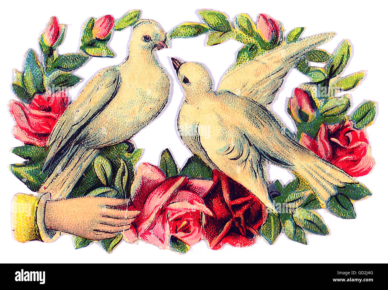 Doves Roses High Resolution Stock Photography and Images - Alamy