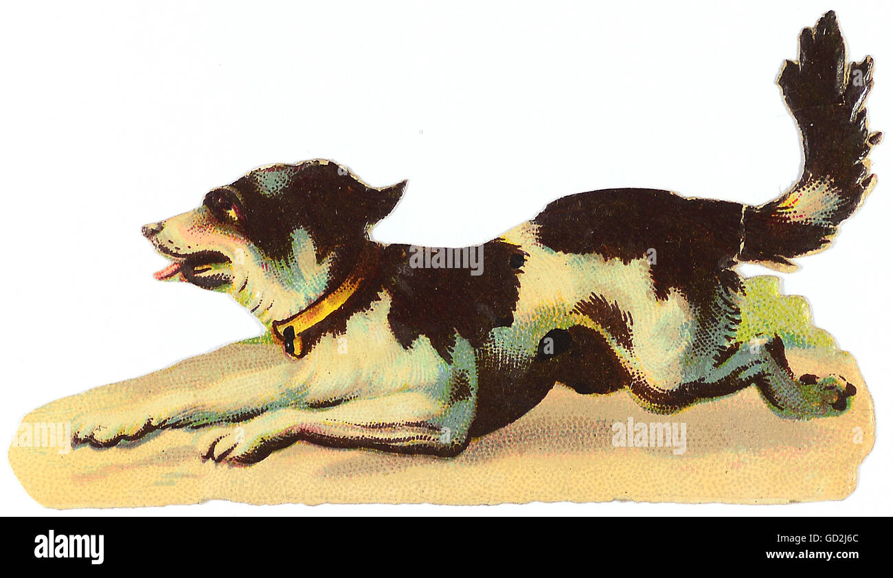 Kitsch animal hi-res stock photography and images - Alamy