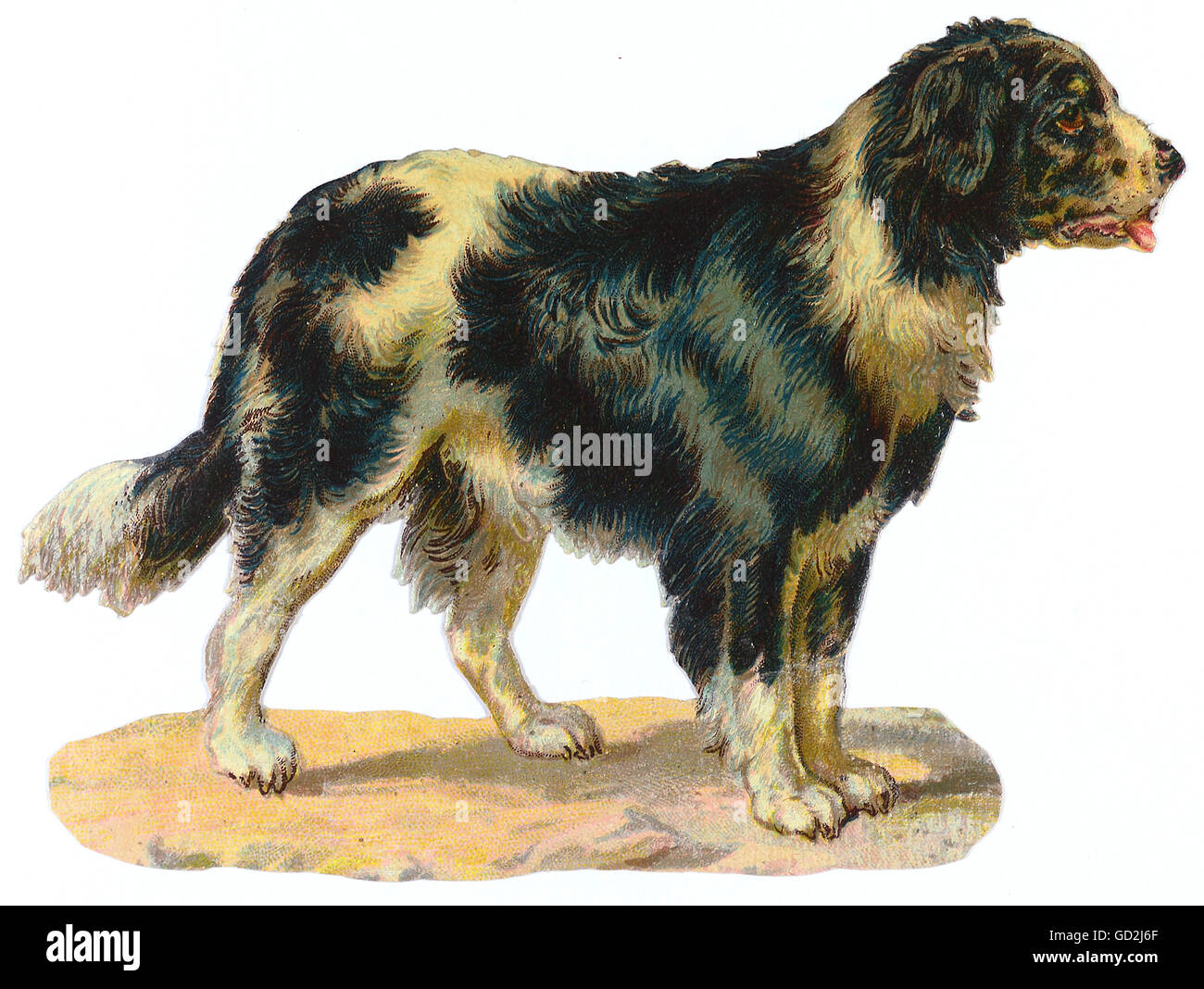 Kitsch animal hi-res stock photography and images - Alamy