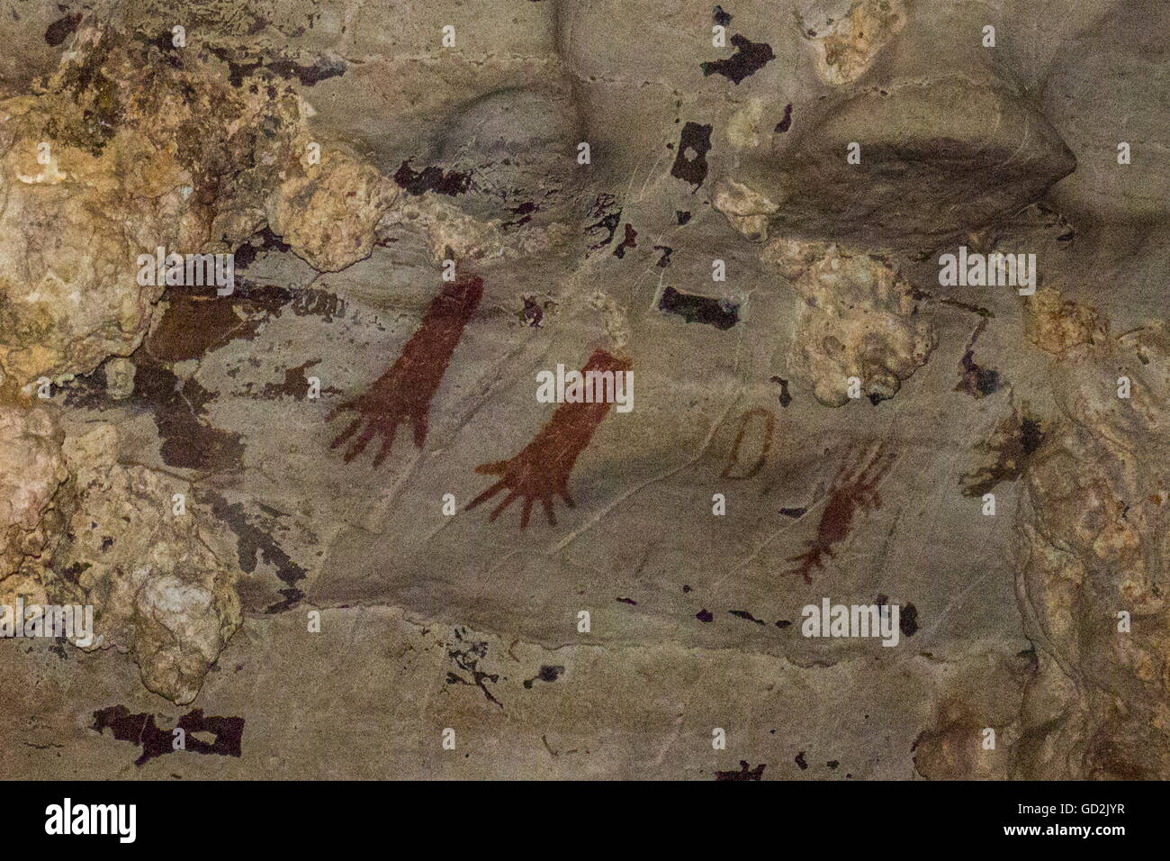 Big headed ghost cave hi-res stock photography and images - Alamy