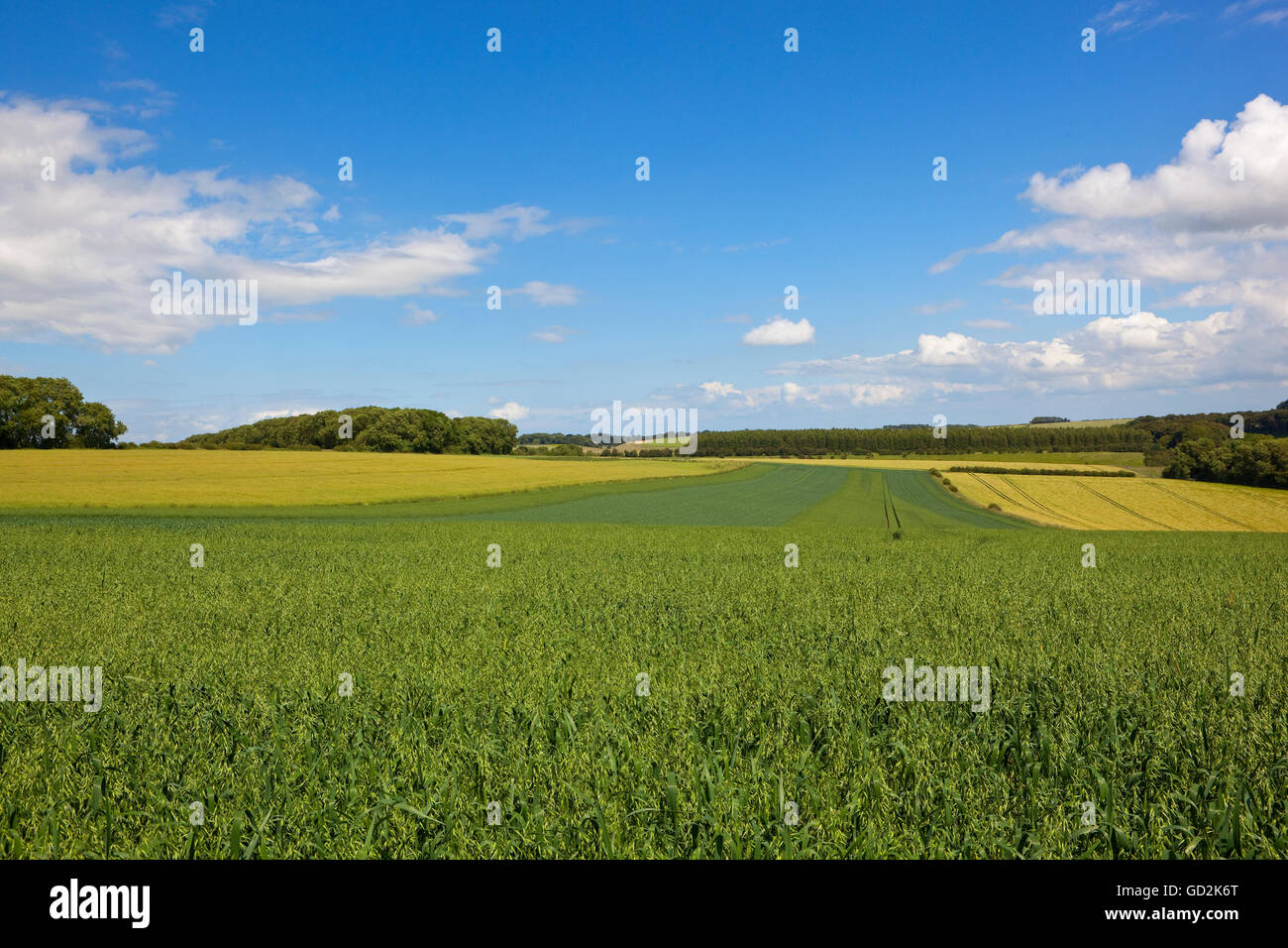 Hedgerows and distant fields hi-res stock photography and images - Alamy