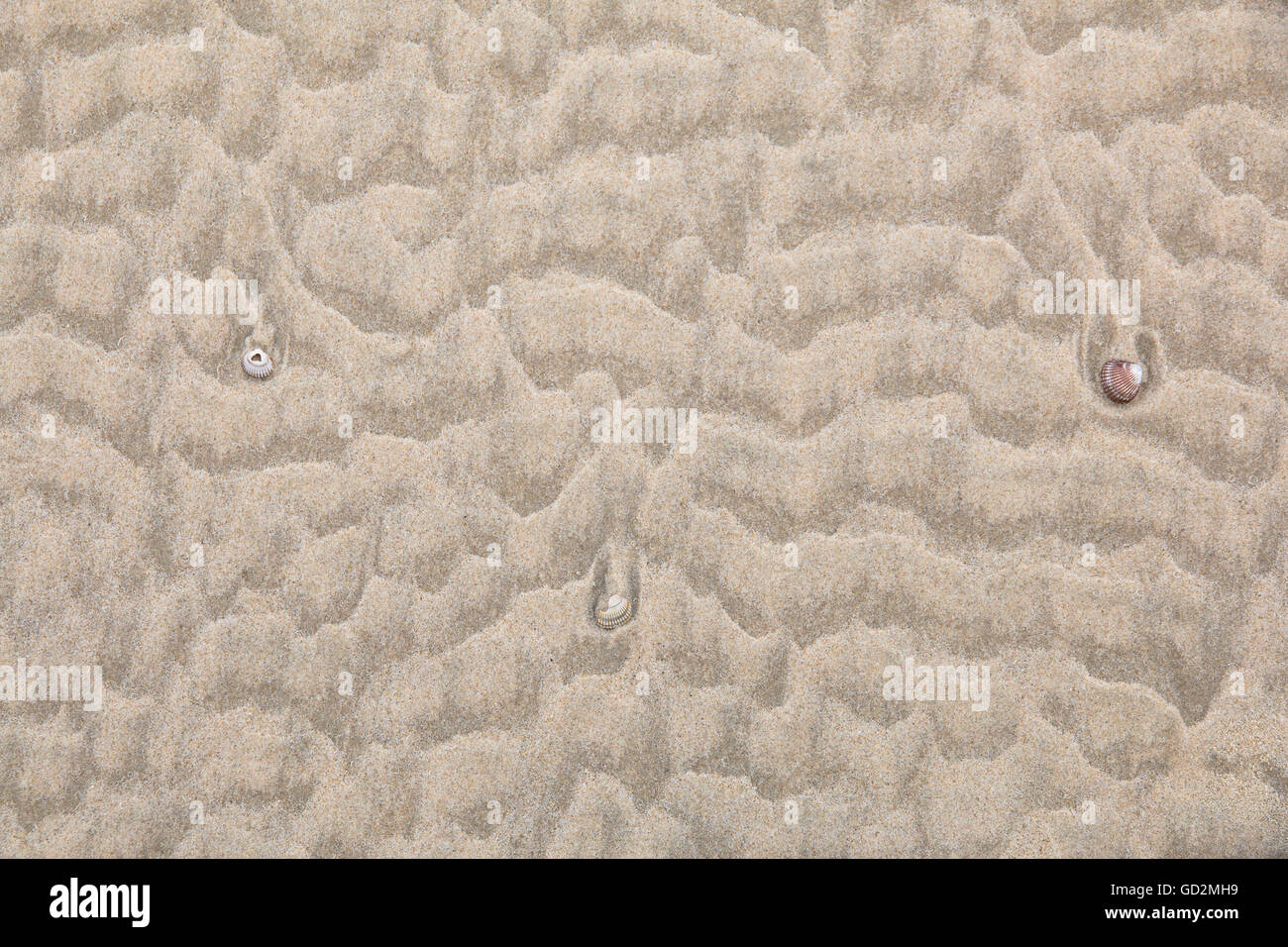 Top view beach hi-res stock photography and images - Alamy