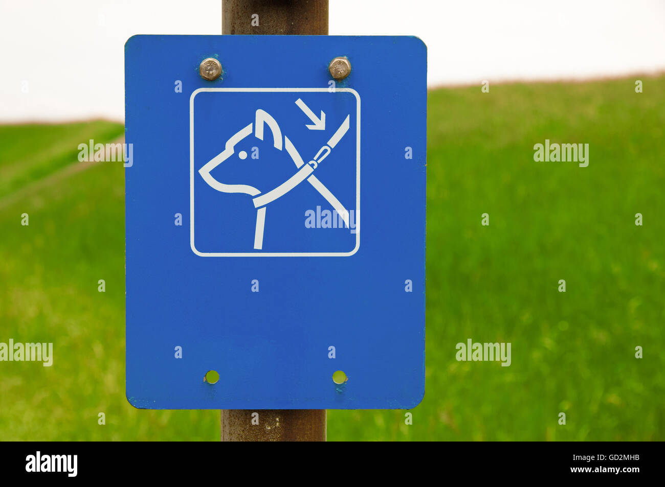 Dogs on leash sign hi-res stock photography and images - Alamy