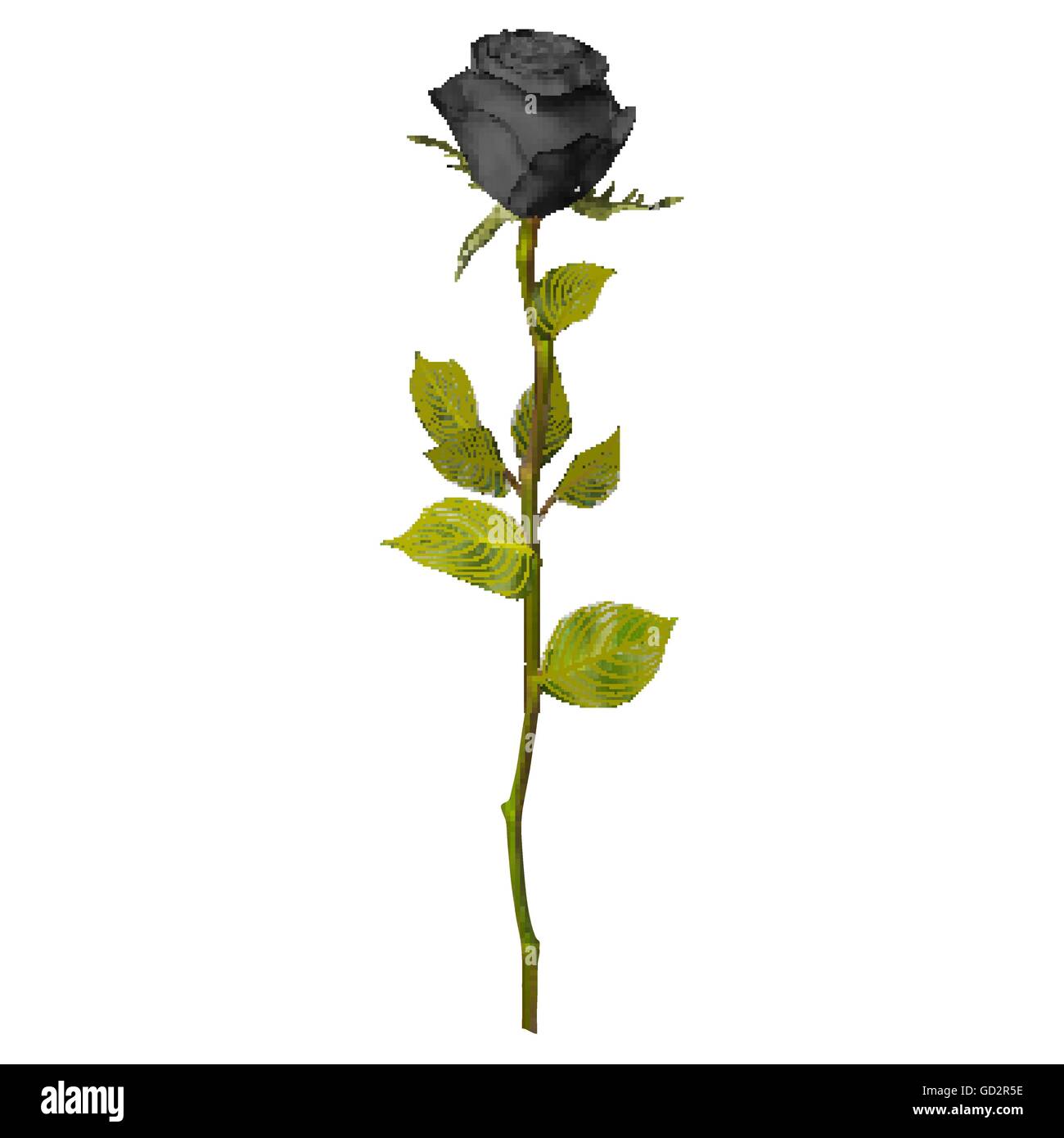 Color gradient to black Cut Out Stock Images & Pictures - Alamy