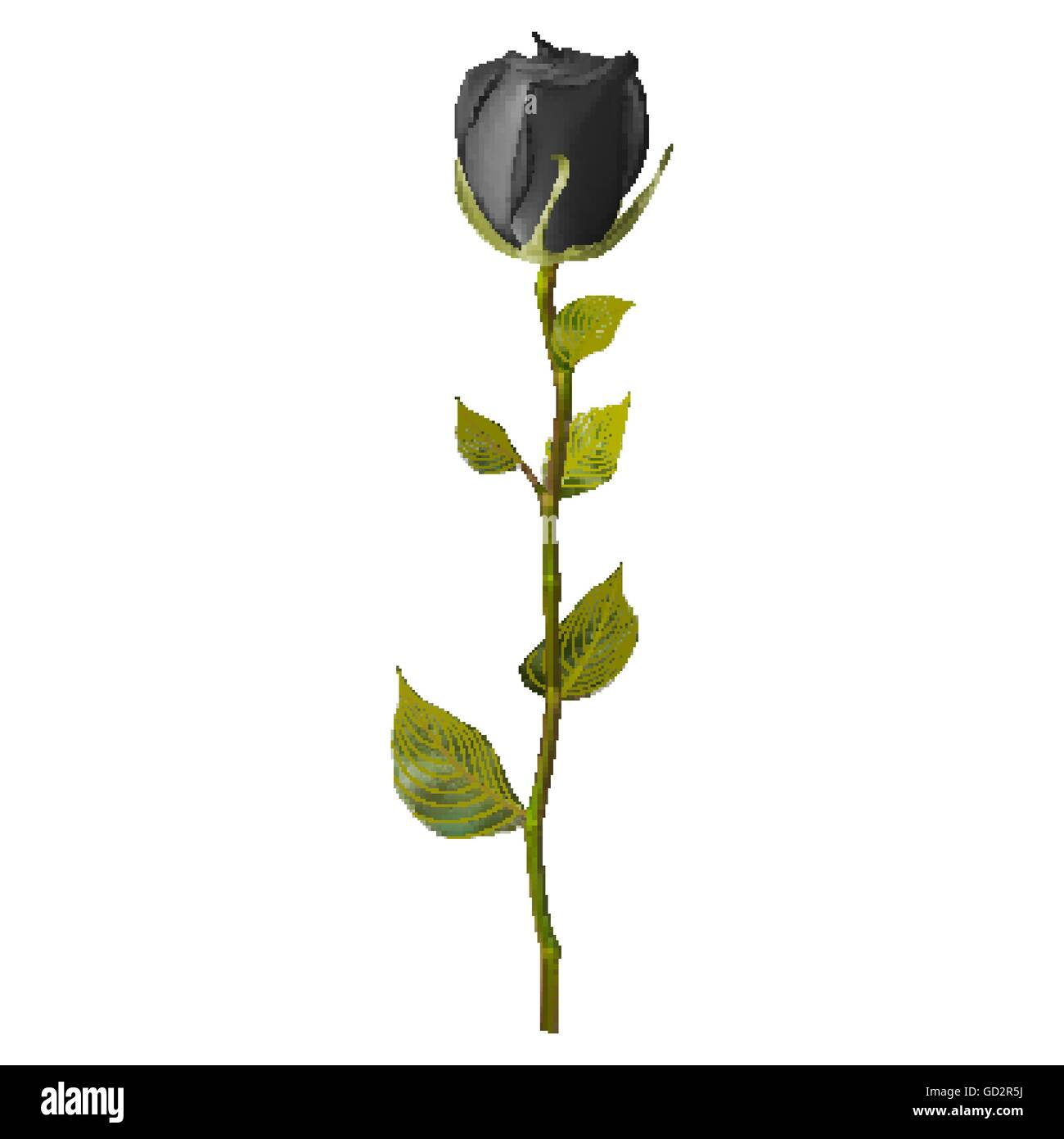 Realistic Rose Stem With Black