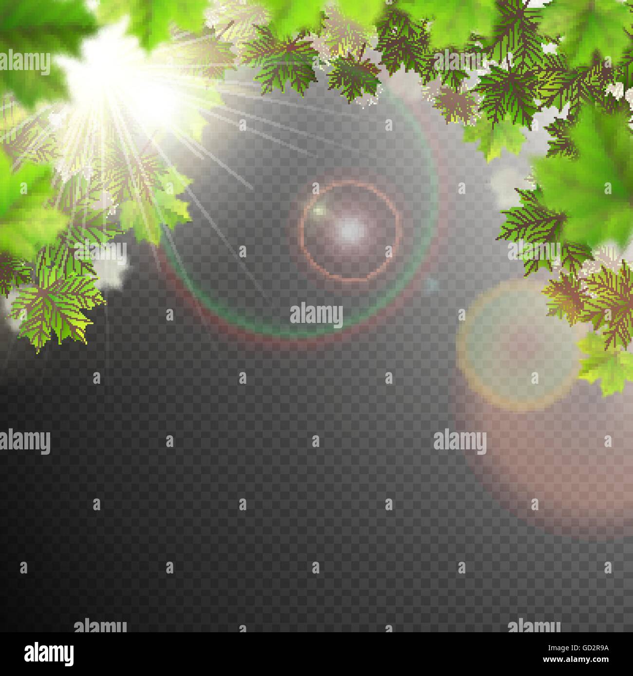 Green bokeh tree leaves Stock Vector Images - Alamy