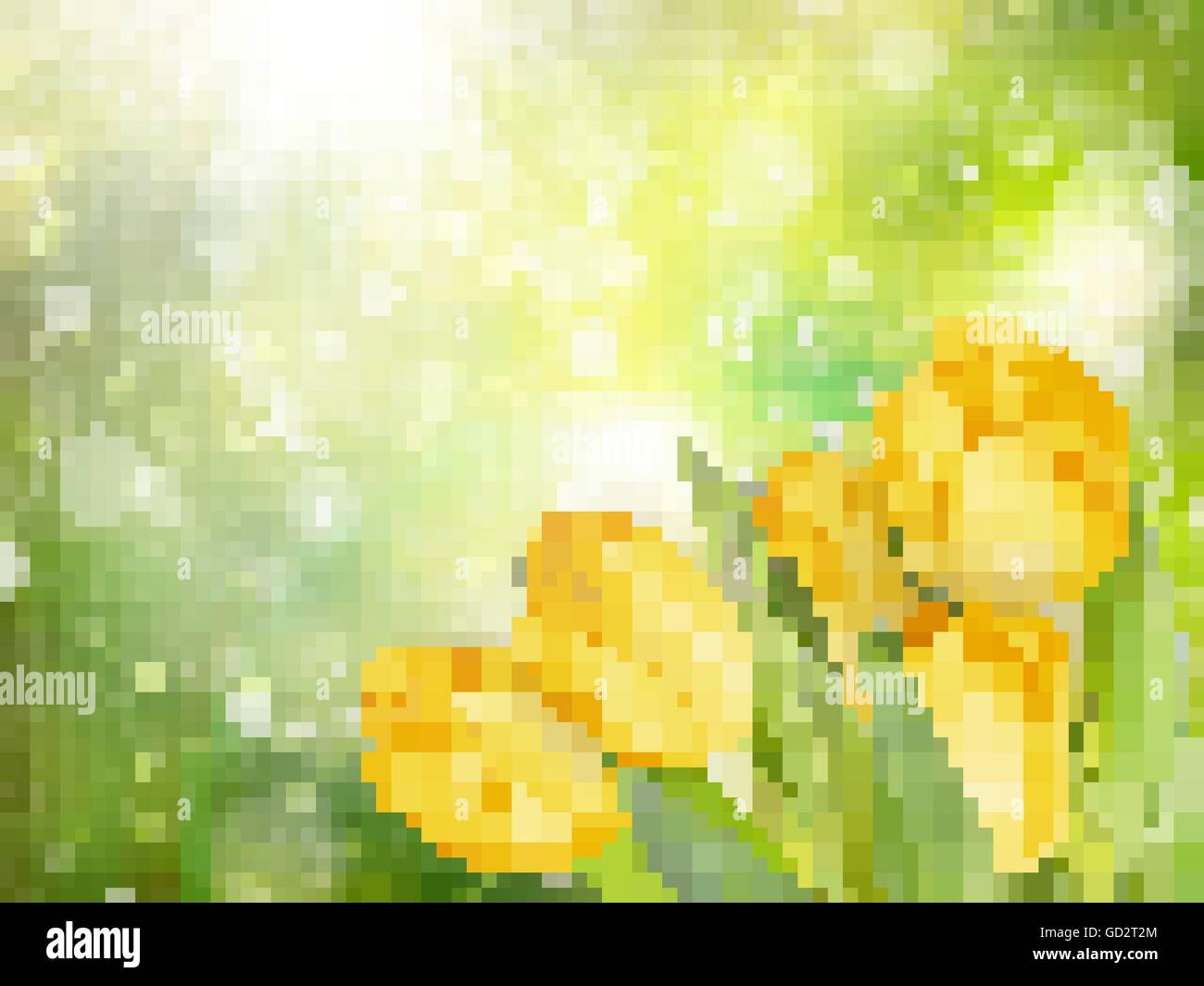 Bright sunny flower border Stock Vector Images - Alamy