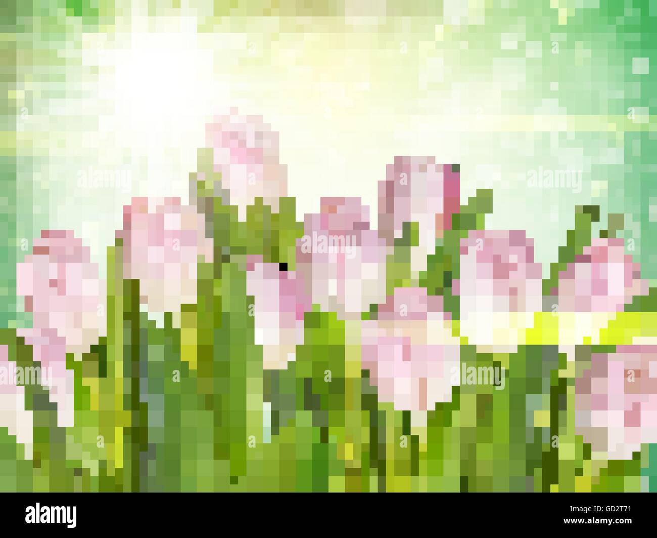 May tulip Stock Vector Images - Alamy