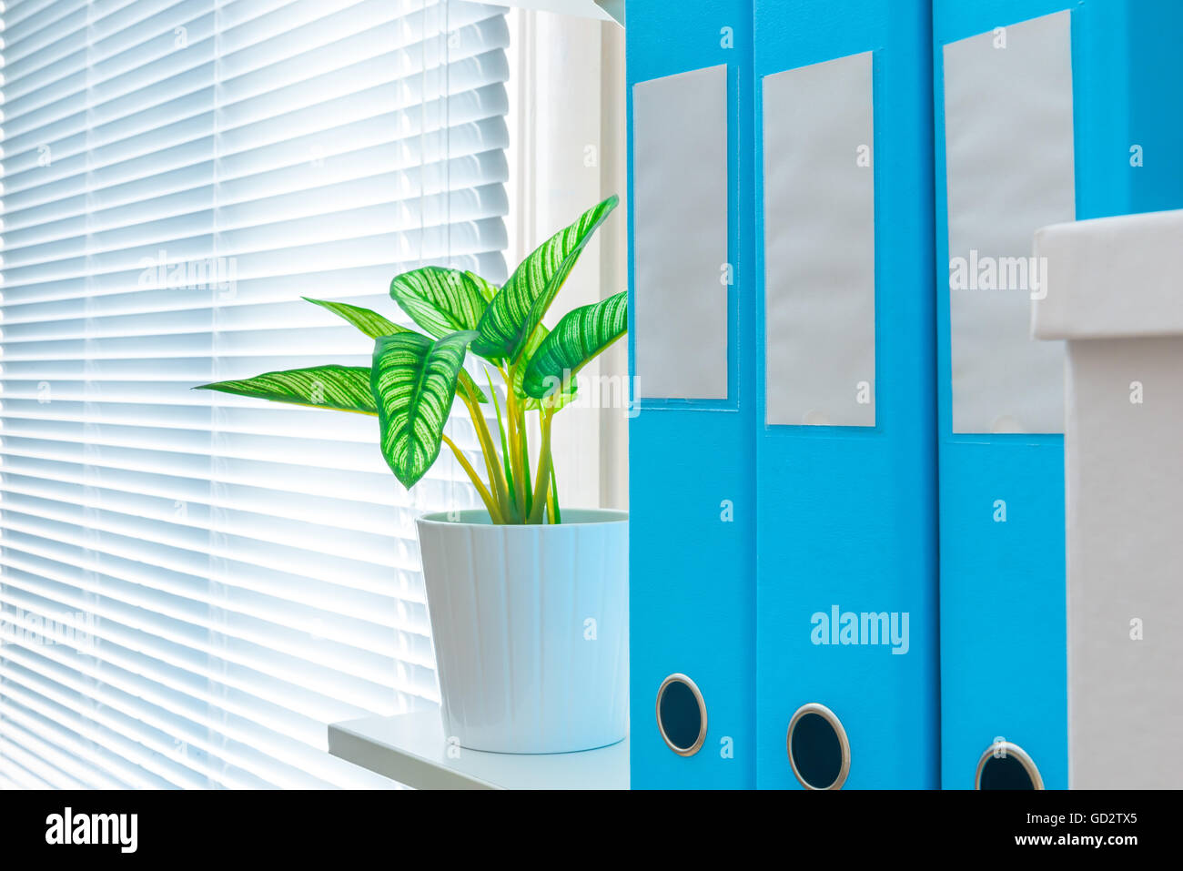 shelf with folders near the window in the office close up Stock Photo ...